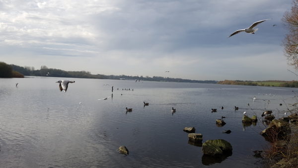 About me – Helen Markham